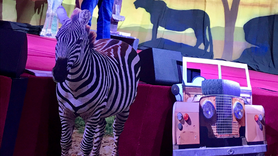 Adult VBS 2019 | In the Wild - BIGPITTSTOP