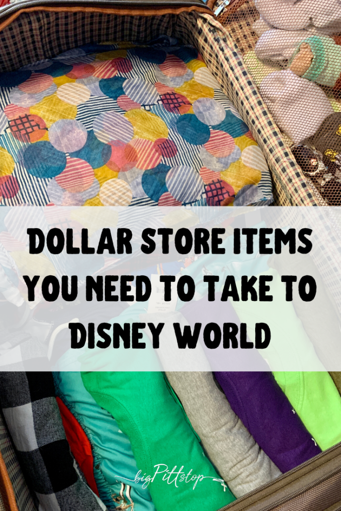 Must Have Dollar Store Items for Disney - BIGPITTSTOP
