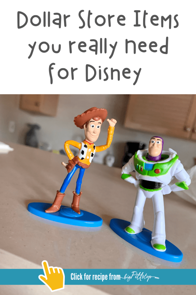 Must Have Dollar Store Items for Disney - BIGPITTSTOP