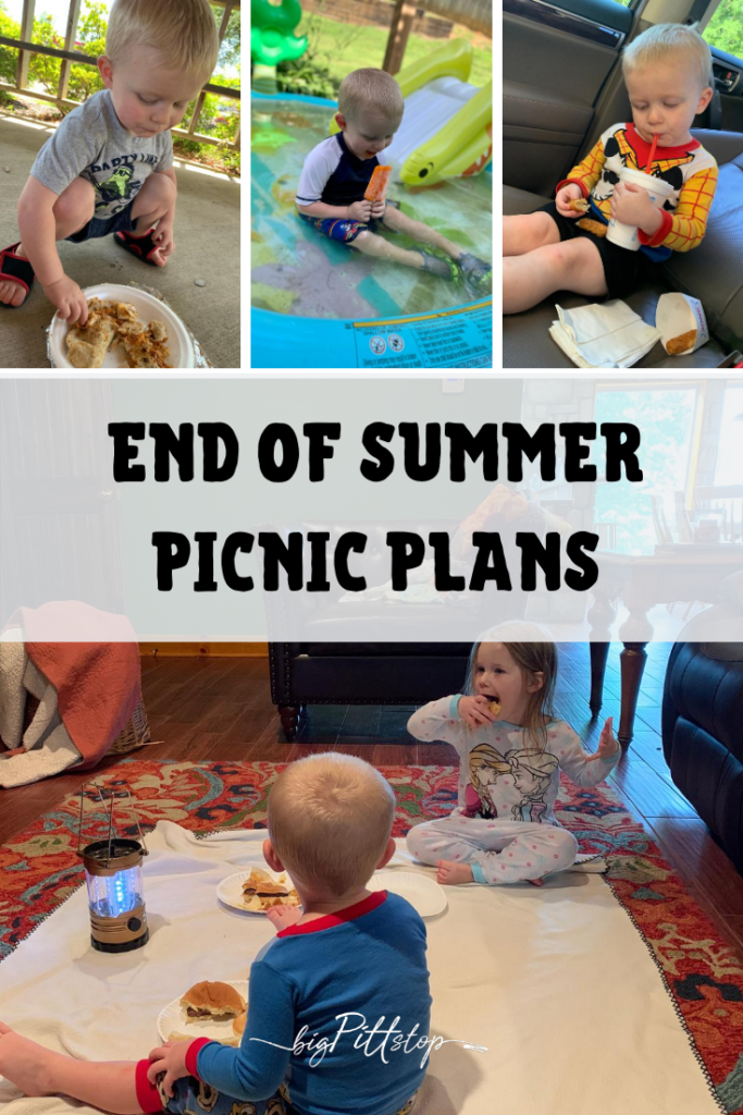 End of Summer Picnic Plans - BIGPITTSTOP
