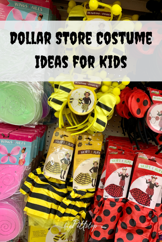 Dollar Store Creative Halloween Costumes - BIGPITTSTOP